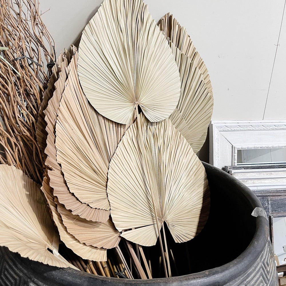 Palm Stick – Brown & Home